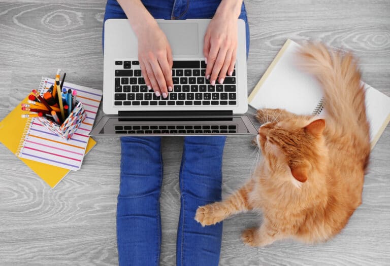99 Dollar Social [Make Money at Home as a Social Media Writer]