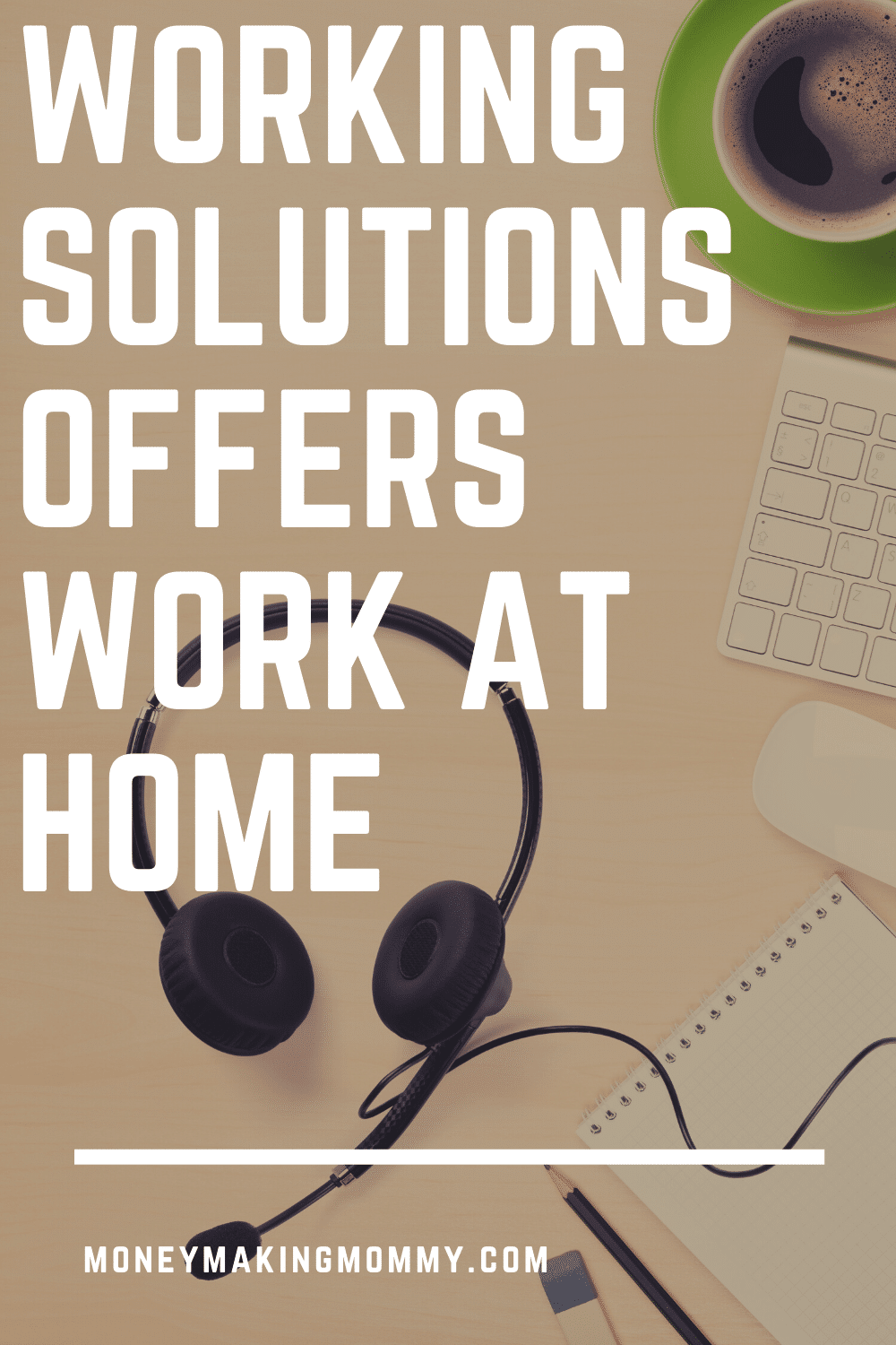Working Solutions Work From Home Review